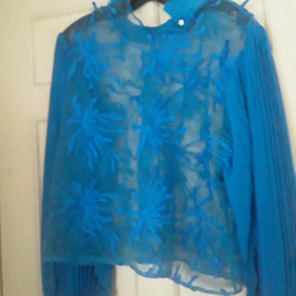 Ft me | Tops | Fit Me Royal Blue Sexy Sheer Floral Blouse Baloon ...